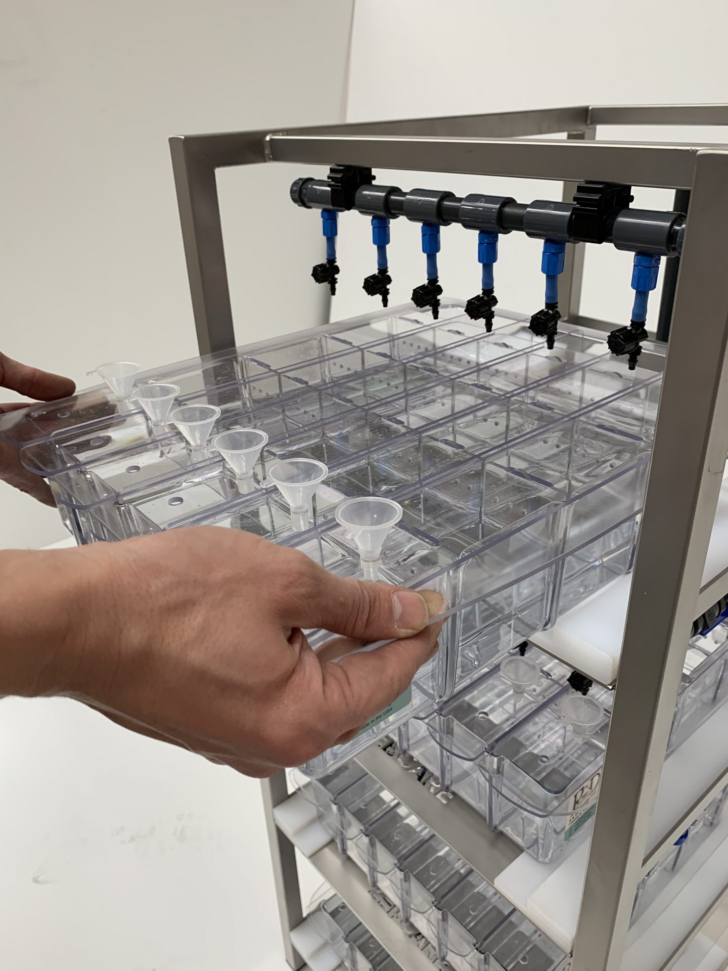 Genotyping Rack for zebrafish for easy and fast genotyping - Zebcare