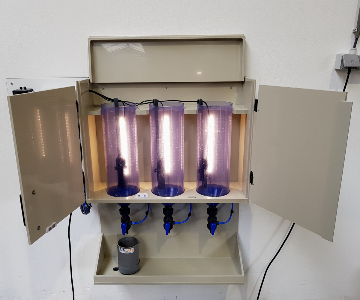 Artemia hatching system for the production of healthy artemia - Zebcare